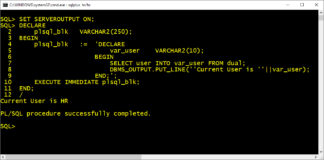 PL/SQL Blocks Using Execute Immediate Of Dynamic SQL In Oracle Database - RebellionRider