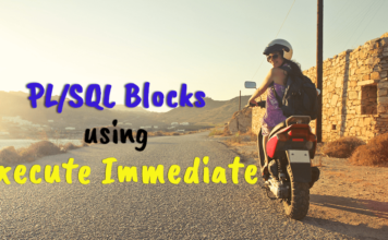 PL/SQL - RebellionRider