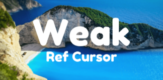 PL/SQL - RebellionRider