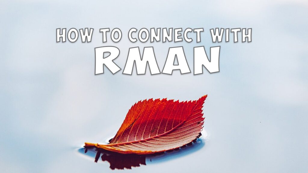 How To Connect With RMAN - RebellionRider