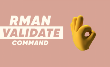 Oracle RMAN - RebellionRider